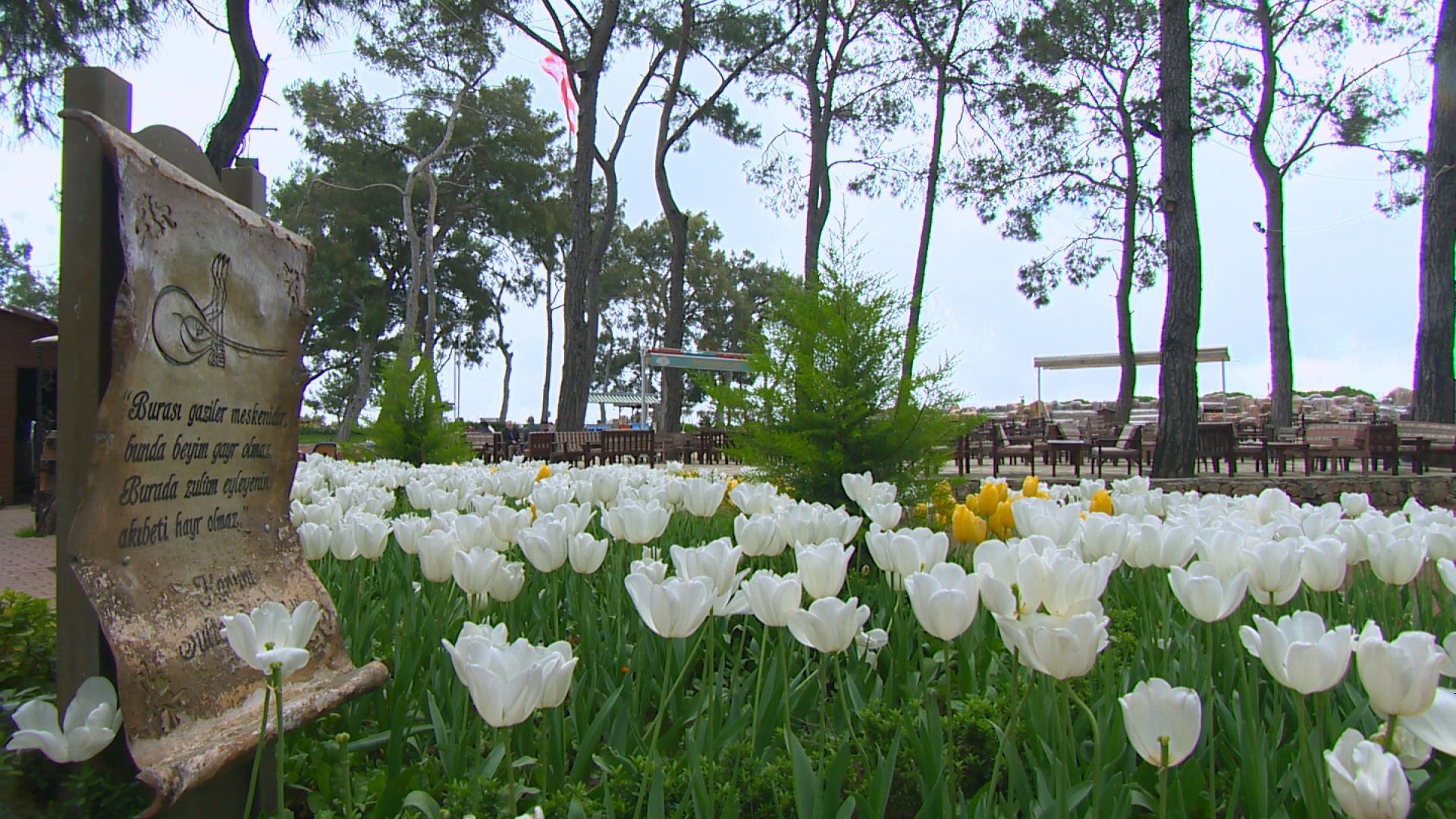 Kepez Belediyesi - Kepez Kent Ormanı